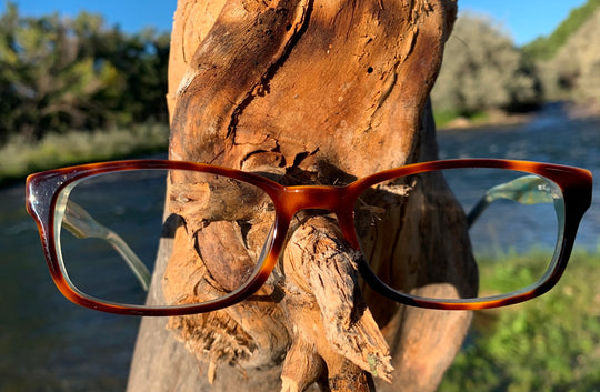 SightLine Progressive Readers