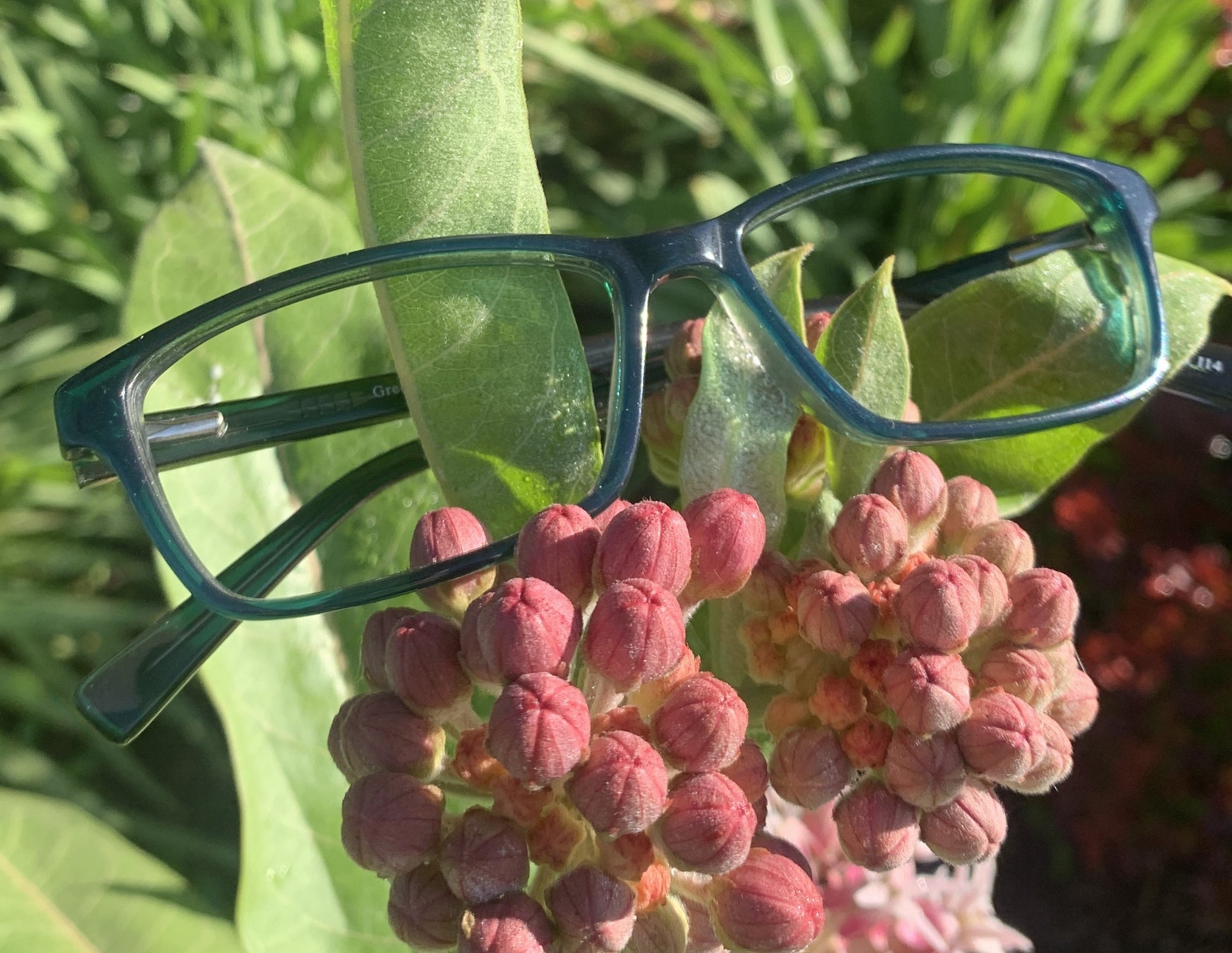 SightLine Progressive Readers